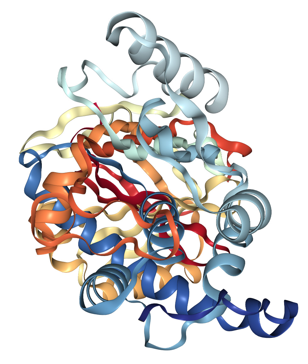 Hereditary Angioedema Drug Pipeline & Approved Therapies | Blackseed Bio