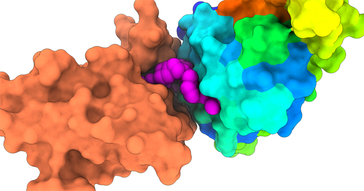 Targeted Protein Degraders (TPD) Global Pipeline | Blackseed Bio